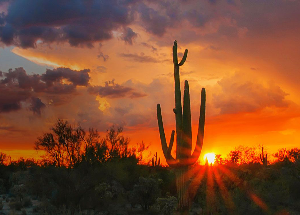 Integrative NLP Practitioner Certification® Training - Phoenix, AZ Integrative NLP Practitioner Certification® Training - Phoenix, AZ